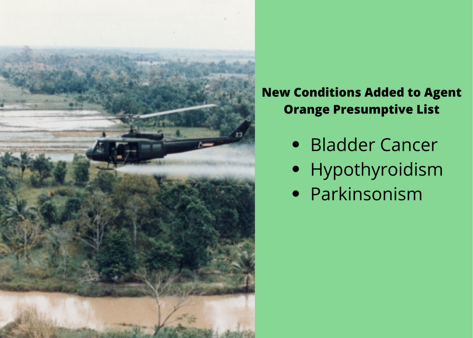 New Conditions Added to Agent Orange Presumptive List | 2021 ...
